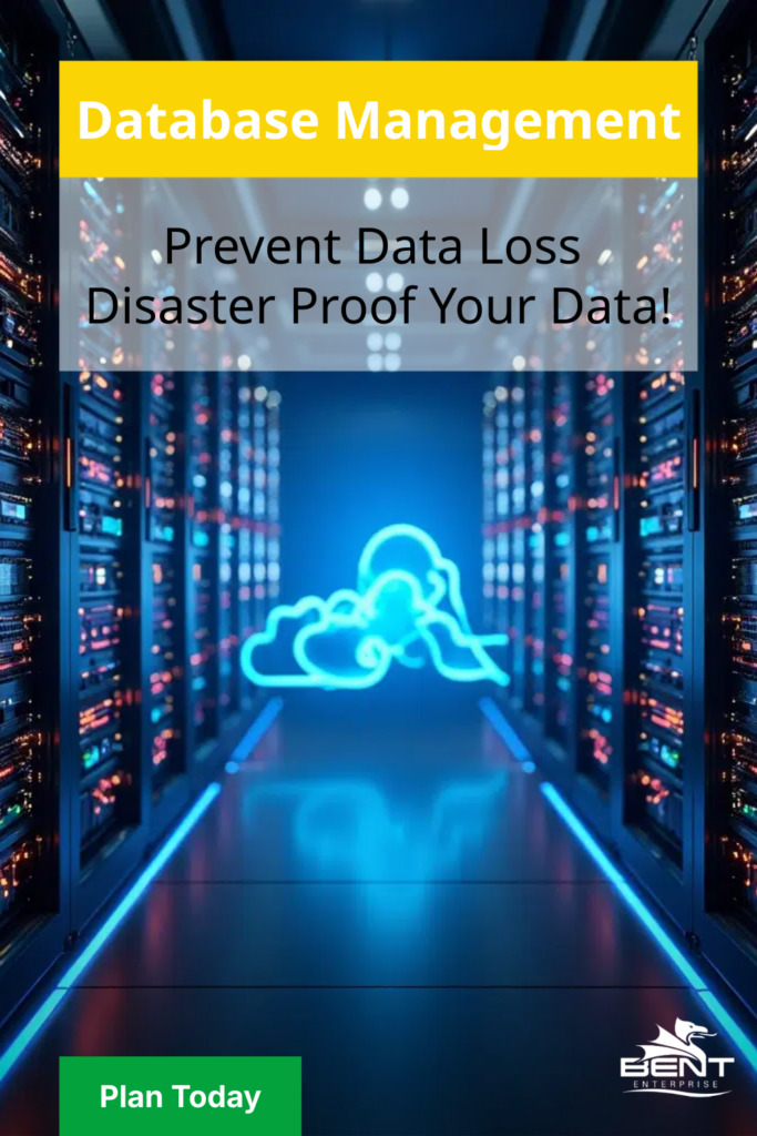 Secure Database Management Services at BENT Enterprise