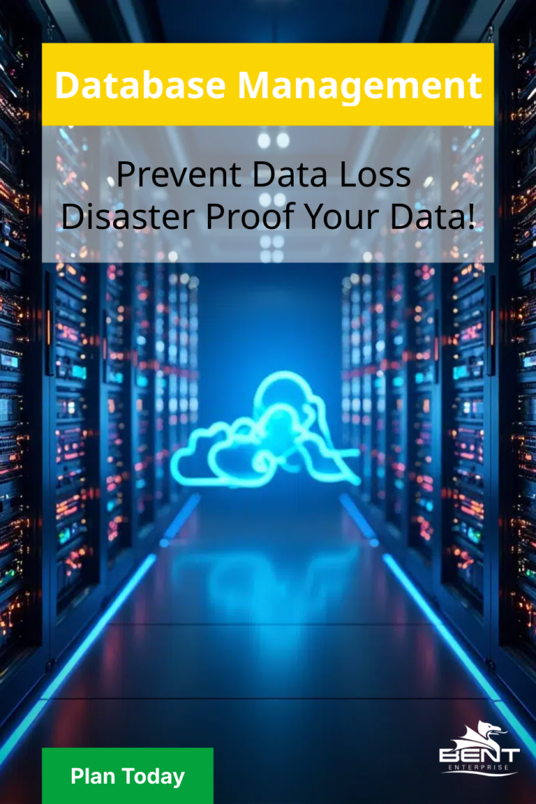 Secure Database Management Services at BENT Enterprise